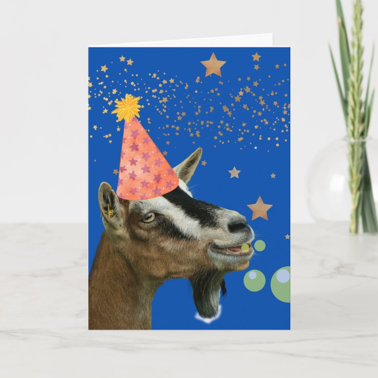 Funny Goat Birthday Burping Celebrate Card | Zazzle