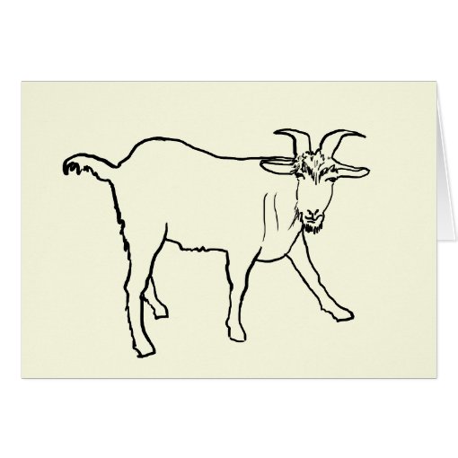 Funny Goat Drawing Quirky Cartoon Farm Animal Art | Zazzle