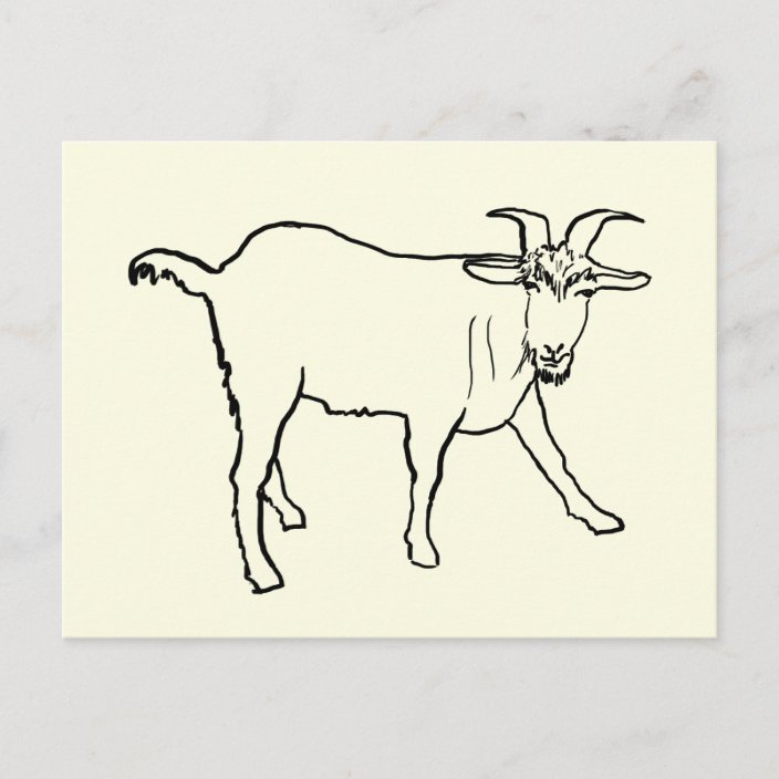 Funny Goat Drawing Quirky Cartoon Farm Animal Art Postcard | Zazzle.com