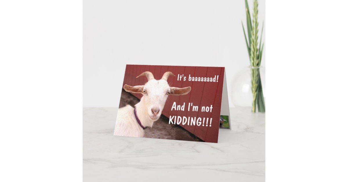 Funny Goat It's Baaaaad Get Well Card | Zazzle