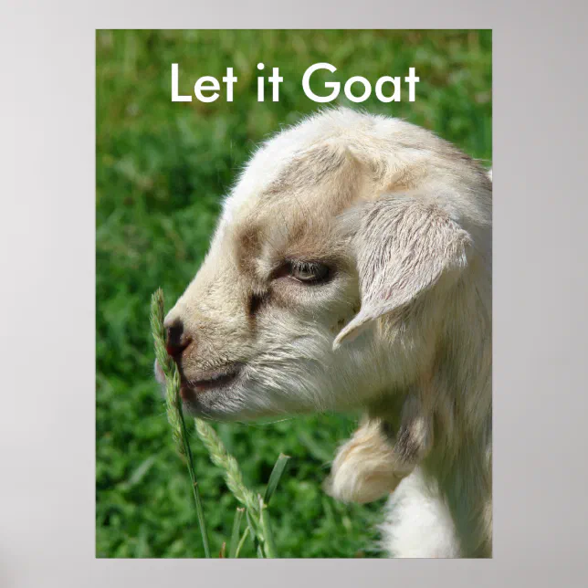 Funny Goat Parody, Cute Goat Kid Poster | Zazzle