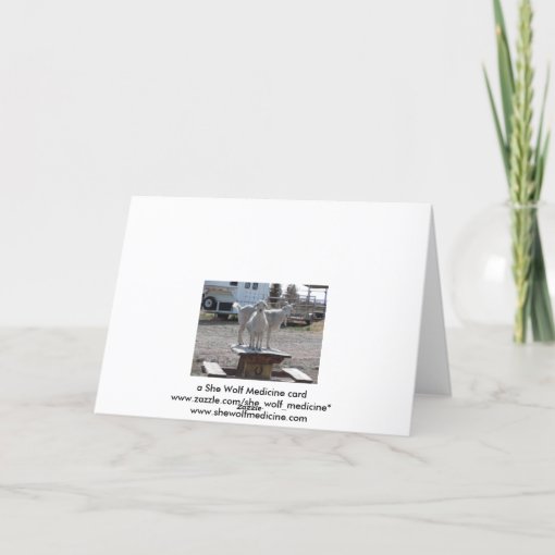 Funny Goats Anniversary Congratulations Compliment Card | Zazzle