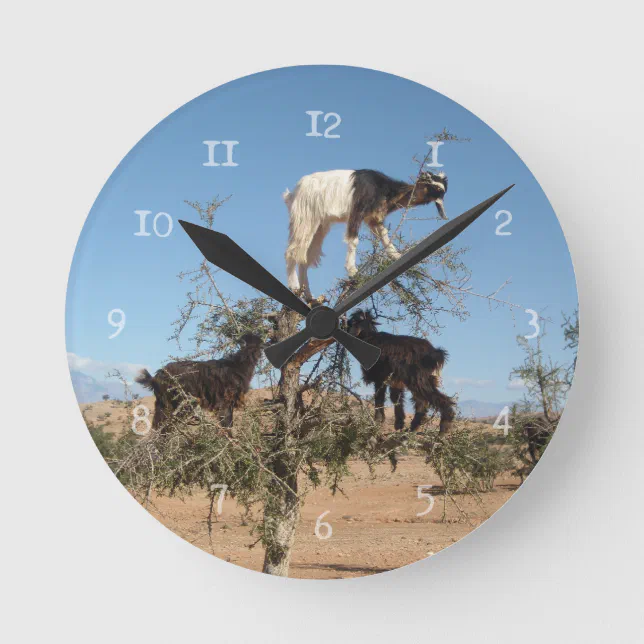 Funny goats in a tree round clock | Zazzle