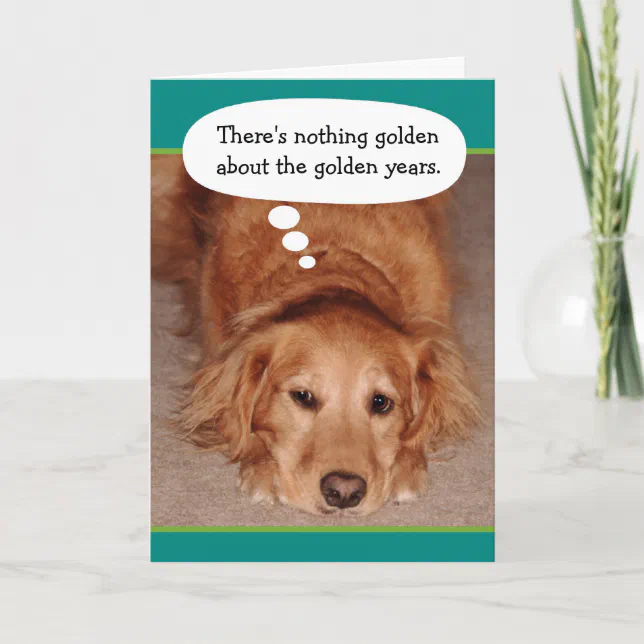 Funny Golden Oldie Golden Retriever Birthday Card | Zazzle