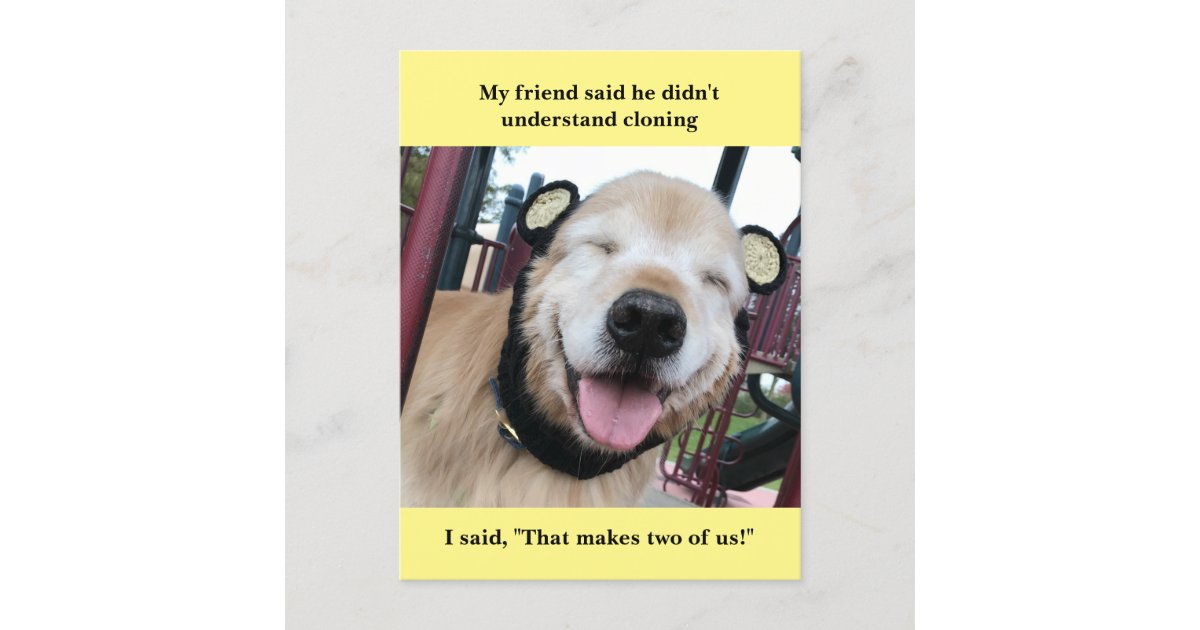 Funny Golden Retriever Cloning Joke Meme Postcard | Zazzle