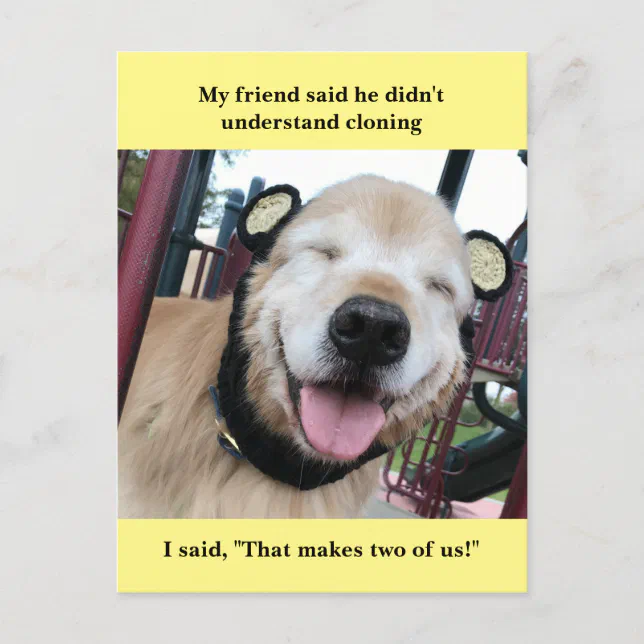 Funny Golden Retriever Cloning Joke Meme Postcard | Zazzle