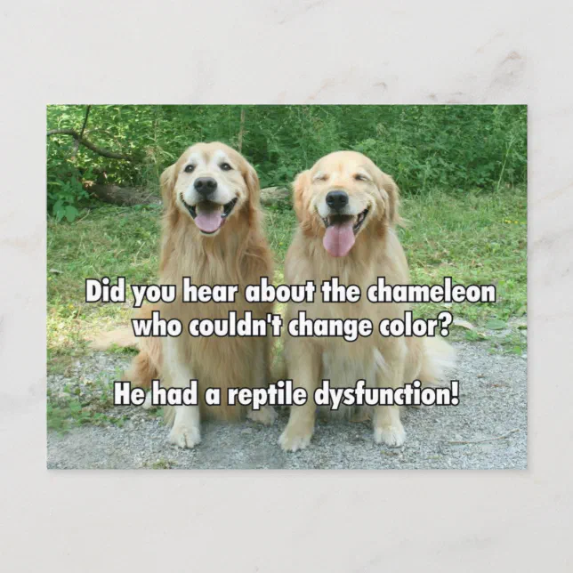 Funny Golden Retriever Reptile Dysfunction Joke Postcard | Zazzle