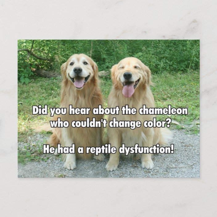 Funny Golden Retriever Reptile Dysfunction Joke Postcard | Zazzle.com