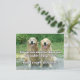 Funny Golden Retriever Reptile Dysfunction Joke Postcard | Zazzle