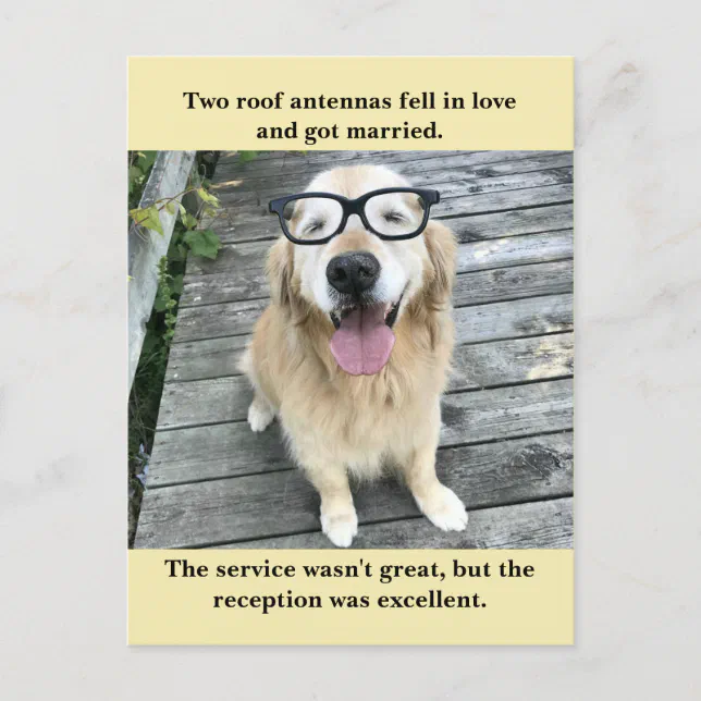 Funny Golden Retriever Wedding Reception Joke Meme Announcement ...