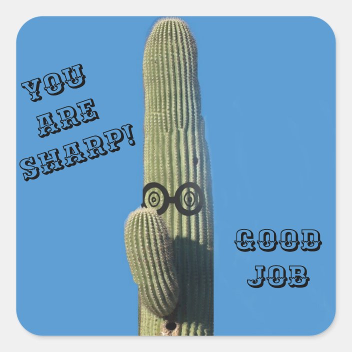 Funny Good Job Cactus Humorous Arizona Great Job Square Sticker | Zazzle