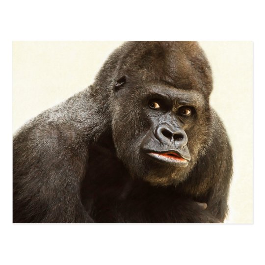 Funny Gorilla postcard | Zazzle.com