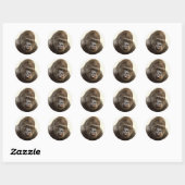 Funny Gorilla stickers | Zazzle