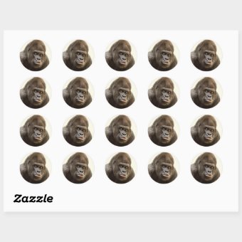 Funny Gorilla stickers | Zazzle