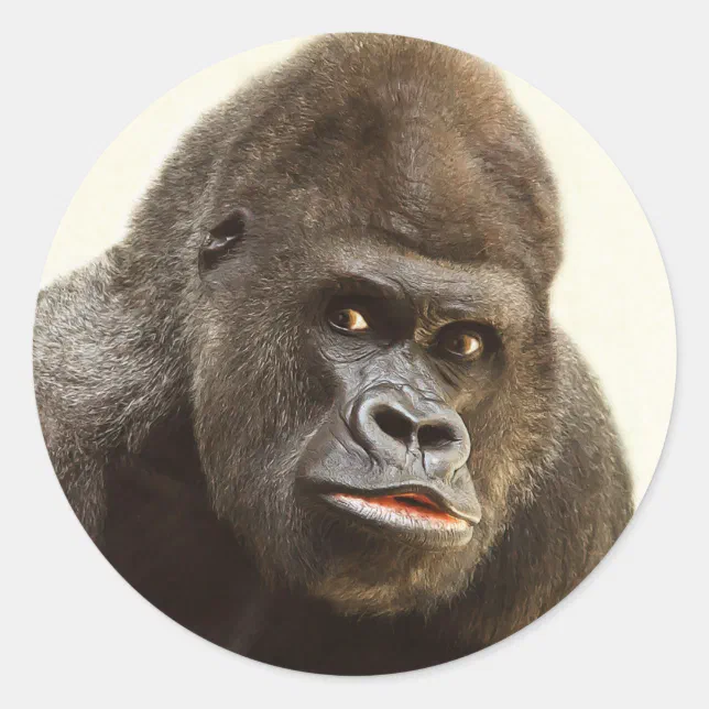 Funny Gorilla stickers | Zazzle