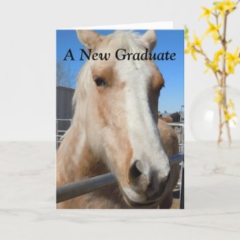 Funny Graduate Graduation Congratulations Horse Card | Zazzle
