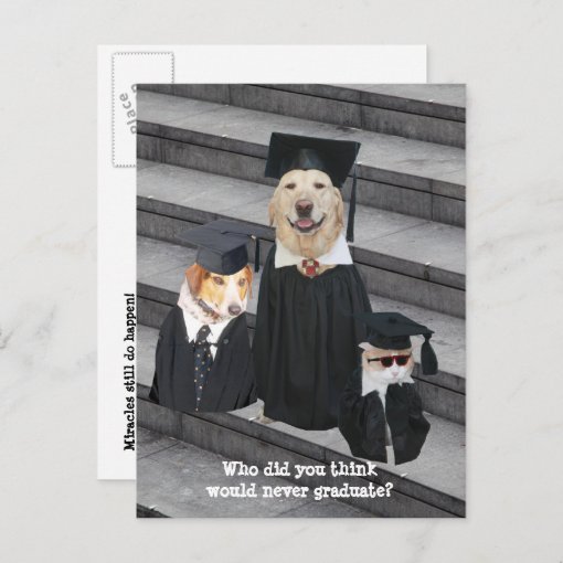 Funny Graduation Customizable Announcement Postcar | Zazzle