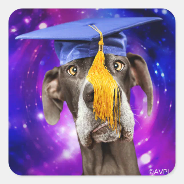 Funny Graduation Dog Wearing Hat Square Sticker | Zazzle