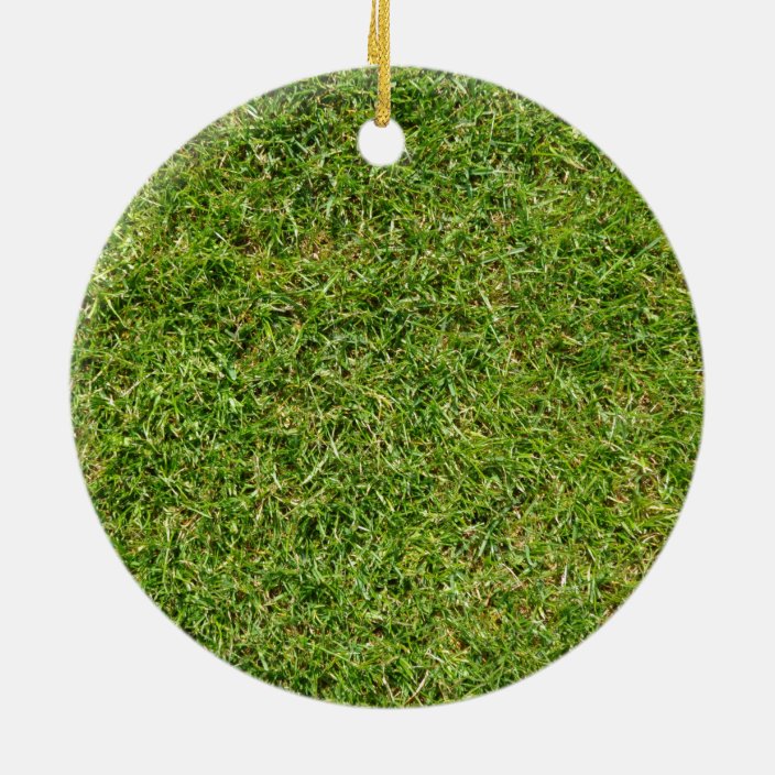 Funny Green Grass Lawn Ceramic Ornament | Zazzle