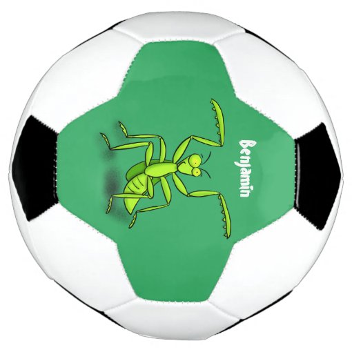 Funny green praying mantis cartoon illustration soccer ball | Zazzle