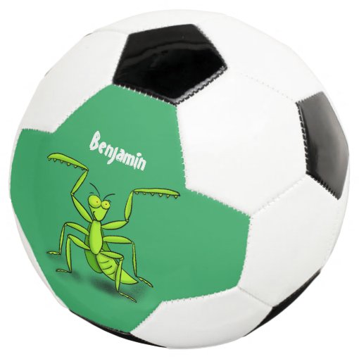 Funny green praying mantis cartoon illustration soccer ball | Zazzle