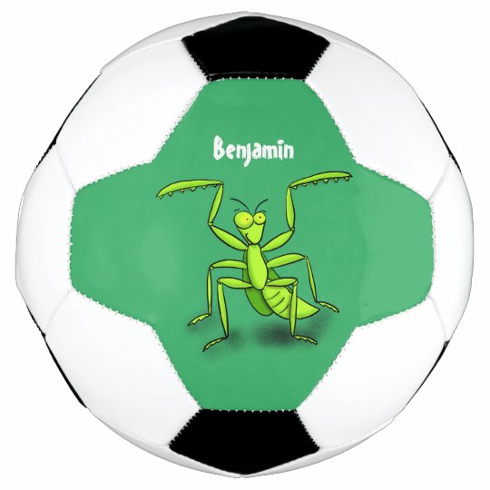 Funny green praying mantis cartoon illustration soccer ball | Zazzle.com