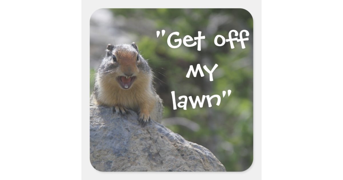 Funny Ground Squirrel Square Sticker | Zazzle