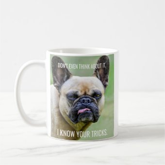 Funny Grumpy French Bulldog I Know Your Tricks Coffee Mug | Zazzle
