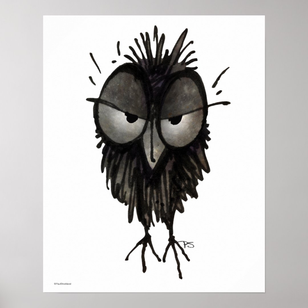 Funny Grumpy Owl Art Poster | Zazzle