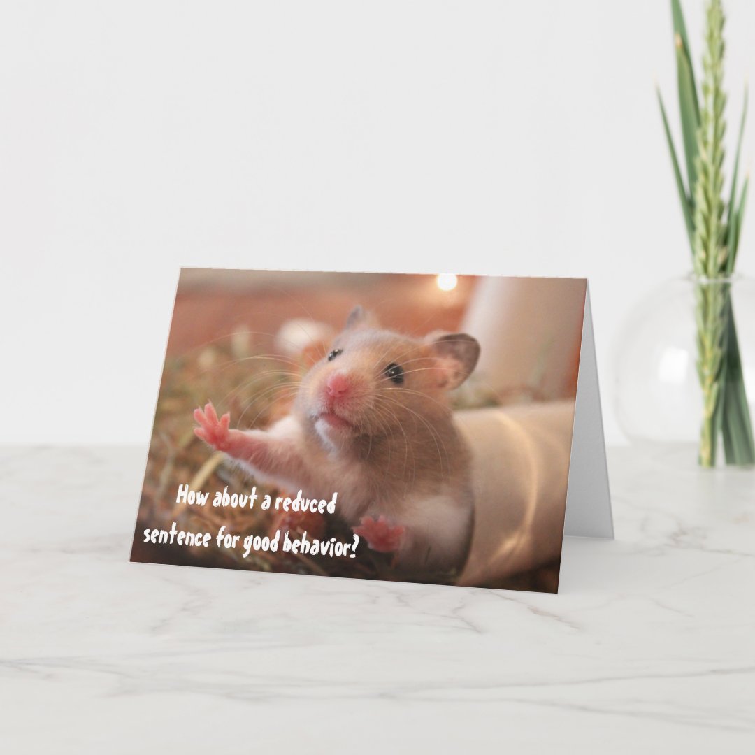 Funny Hamster In Cage Jail Good Behavior Greeting Card | Zazzle