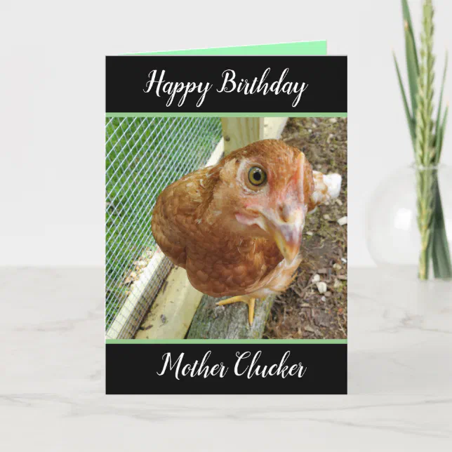 Funny Happy Birthday Chicken Card | Zazzle