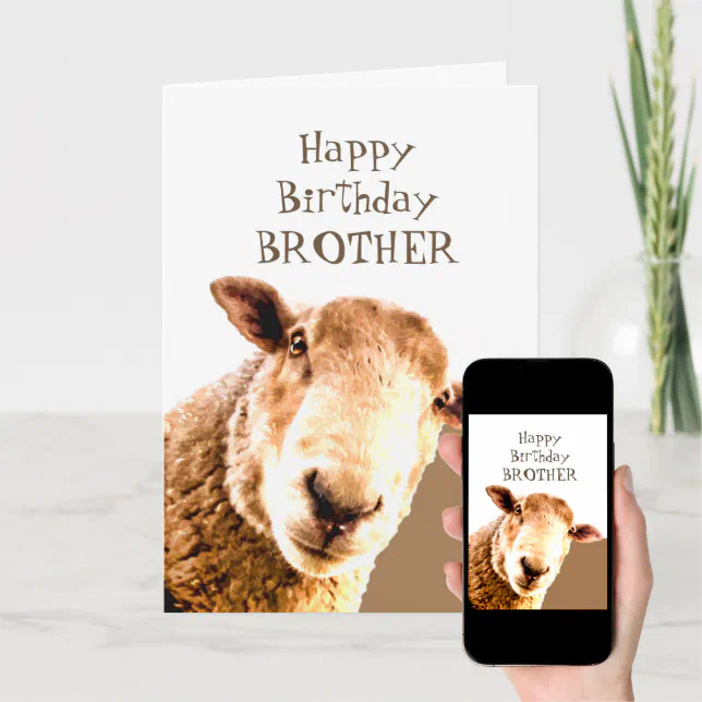 Funny Happy Birthday Ewe are BEST BROTHER EVER Card | Zazzle