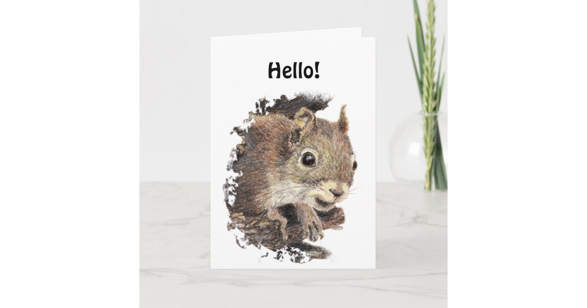Funny Hello, Hi, with Cute Squirrel Animal Card | Zazzle.com