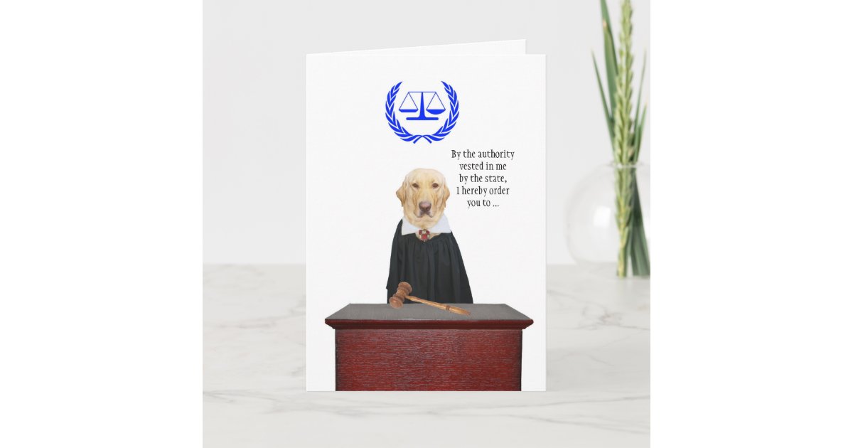 Funny Here Comes the Judge Dog Birthday Card | Zazzle.com