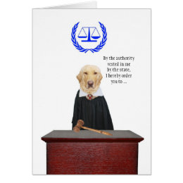 Funny Lawyer Cards - Greeting & Photo Cards | Zazzle