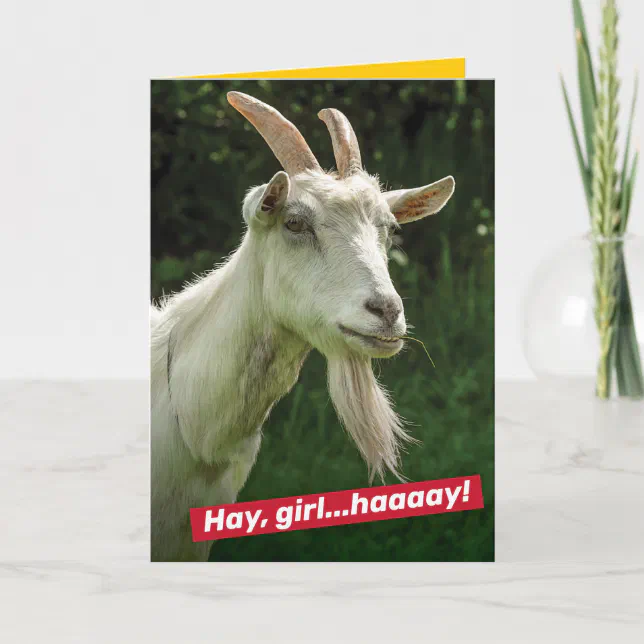 Funny Hey Girl, Hey Ryan Gosling Goat Spoof Card | Zazzle
