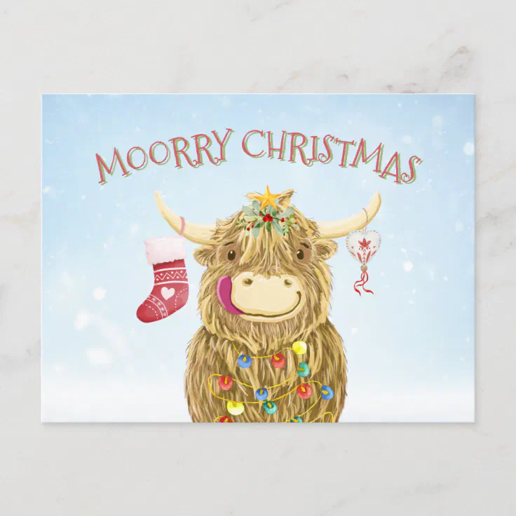 Funny Highland Cow Christmas Cute Holiday Postcard | Zazzle