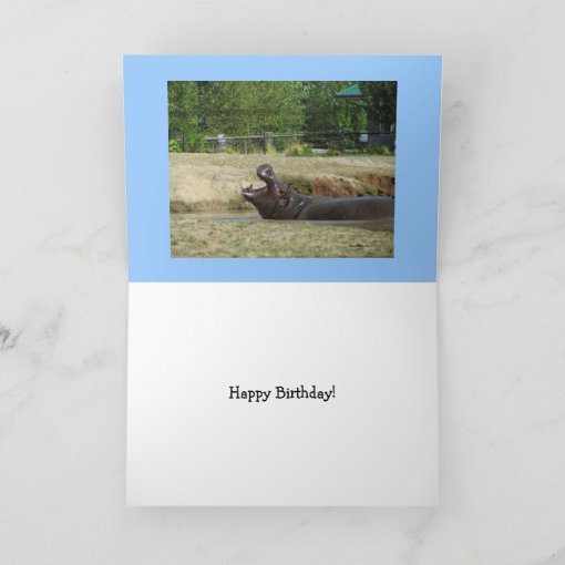 Funny Hippopotamus Birthday Greeting Card | Zazzle