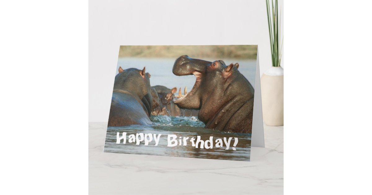 Funny Hippopotamus Hippo Happy Birthday Card | Zazzle