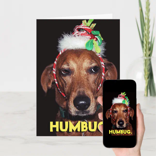 Funny HUMBUG dog Christmas Card | Zazzle
