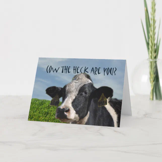 Funny Humorous Cow I Miss You Card | Zazzle