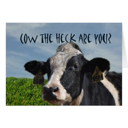 Funny Humorous Cow I Miss You Card | Zazzle.com