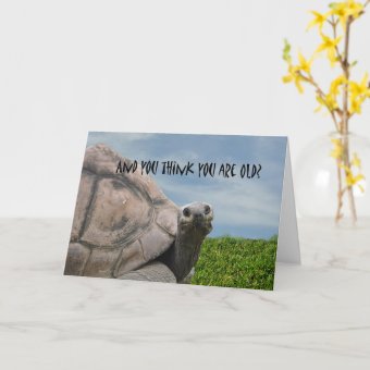 Funny Humorous Giant Sea Turtle Happy Birthday Card | Zazzle