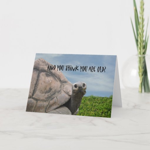 Funny Humorous Giant Sea Turtle Happy Birthday Card | Zazzle
