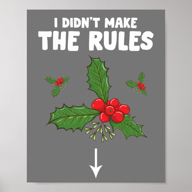 Funny Inappropriate Christmas Adult I Didnt Make Poster | Zazzle