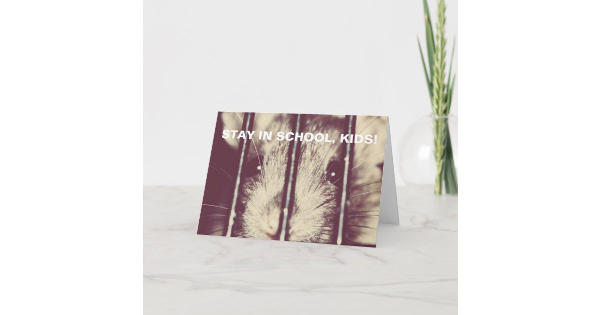 Funny Inspirational Rat in Prison Card | Zazzle