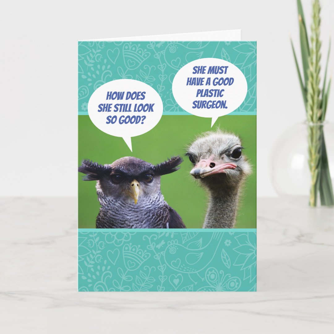 Funny Jealous Birds Complimentary Birthday For Her Card | Zazzle