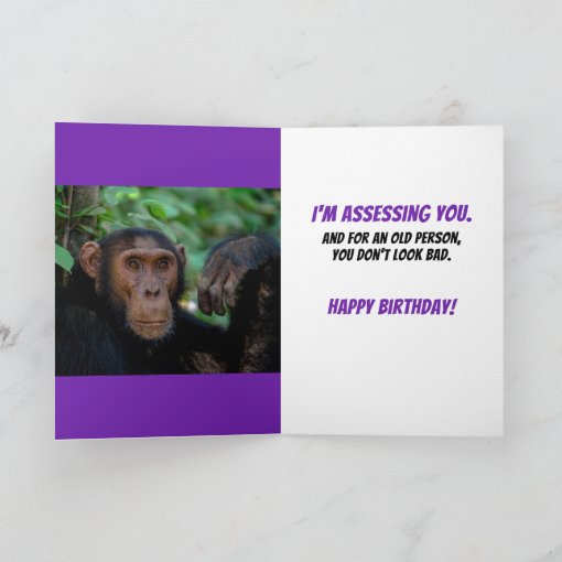 Funny Judgemental Monkey- Assessing You Birthday Card | Zazzle