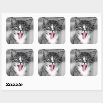 Funny Kitten Square Sticker | Zazzle