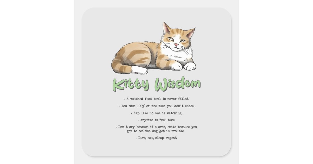 Funny Kitty Wisdom Square Sticker | Zazzle